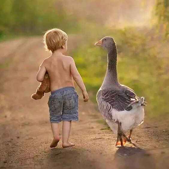 TECNO Security Response Center ｜ TECNO Phone